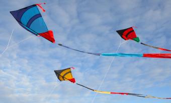 Cerfs-volants adultes - Boutique de cerfs-volants, ailes de traction ...