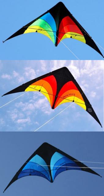 Cerfs-volants pour débutant - Boutique de cerfs-volants, ailes de ...