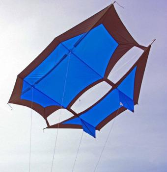 Cerfs-volants adultes - Boutique de cerfs-volants, ailes de traction ...